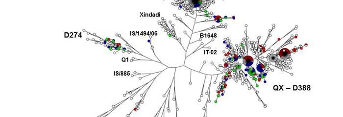 Sequence Check Tools